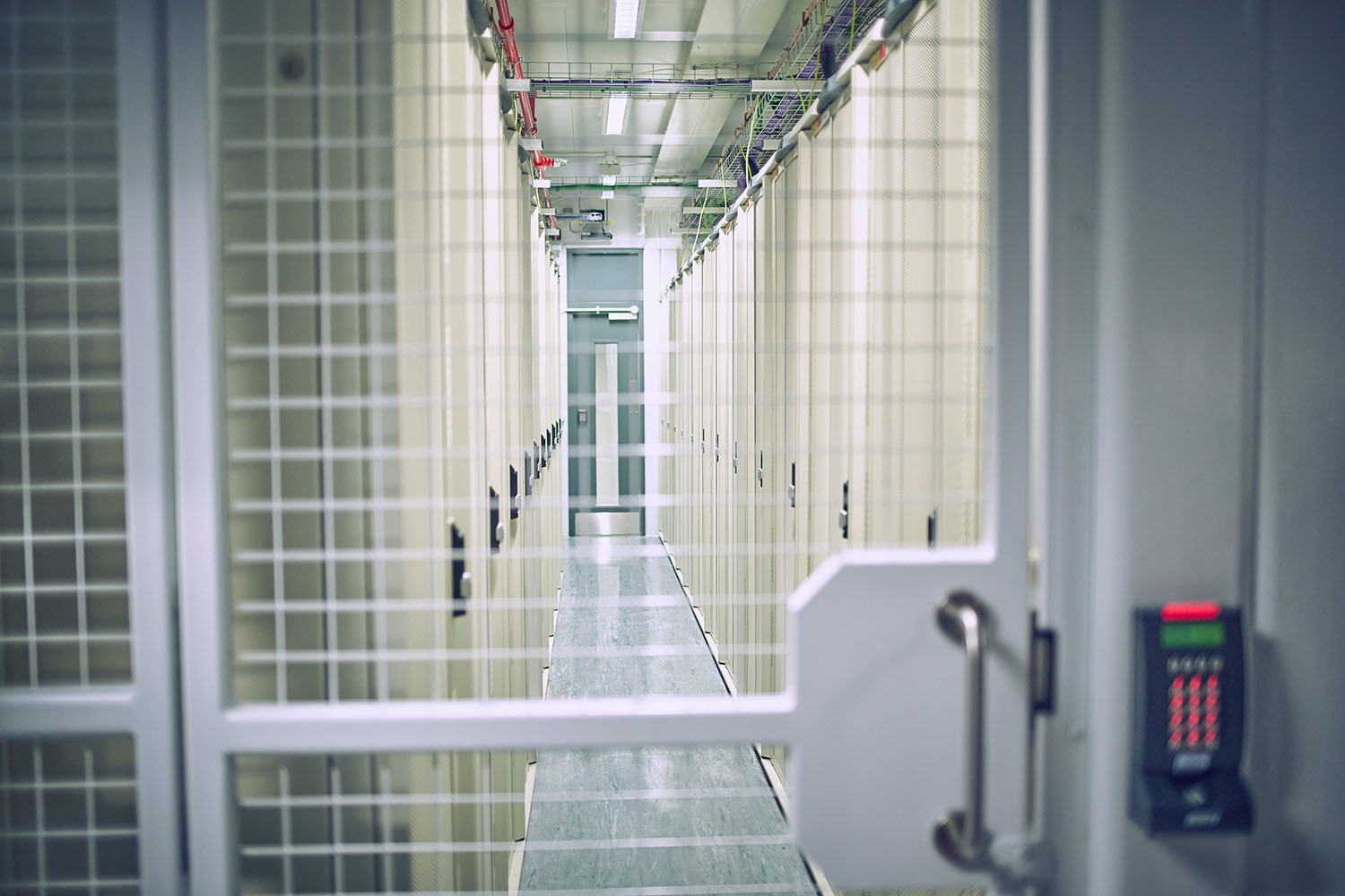 Other Services | Datanet Hosting & Networks